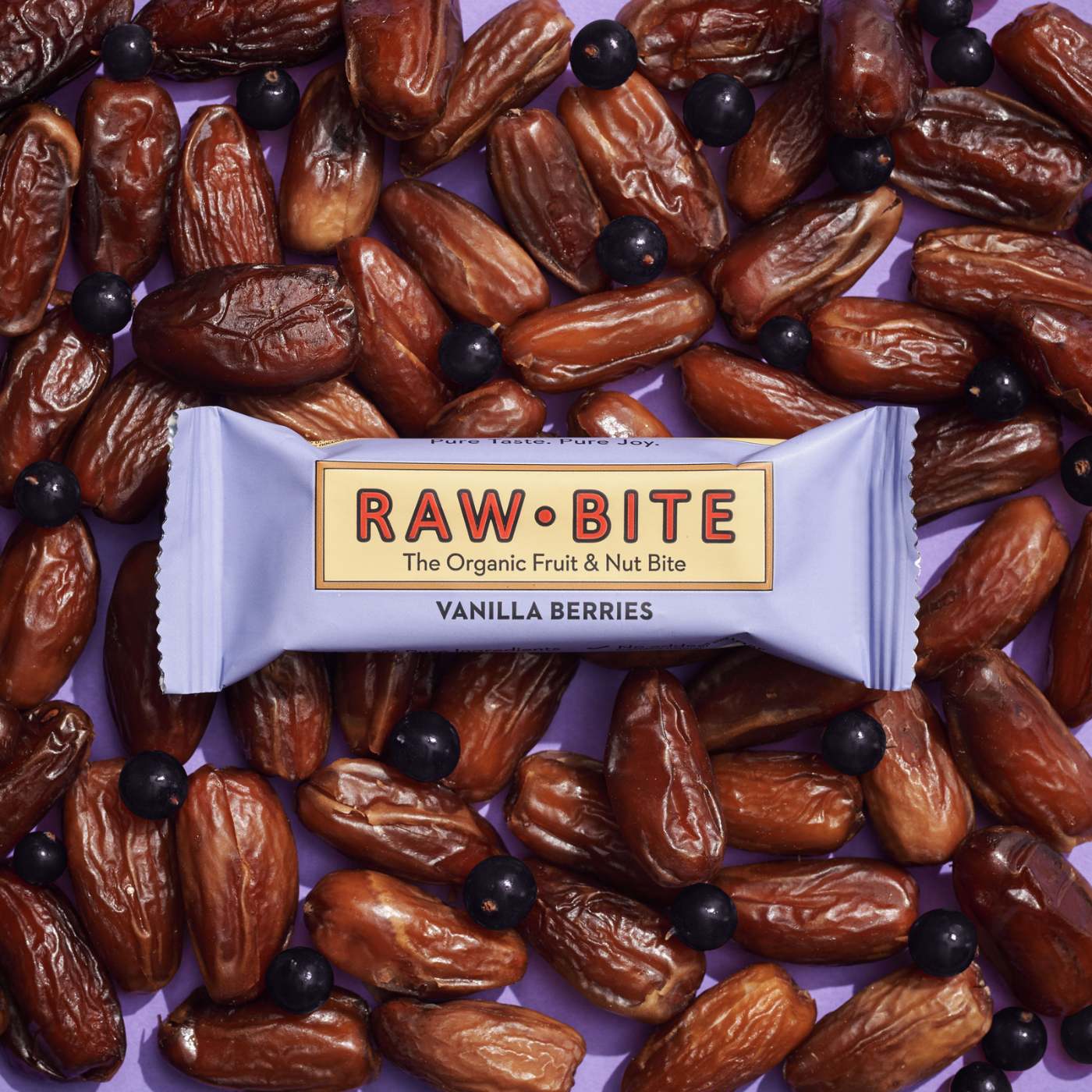 RAWBITE Vanilla Berries – A Purple Spark on the Go – rawbite.com